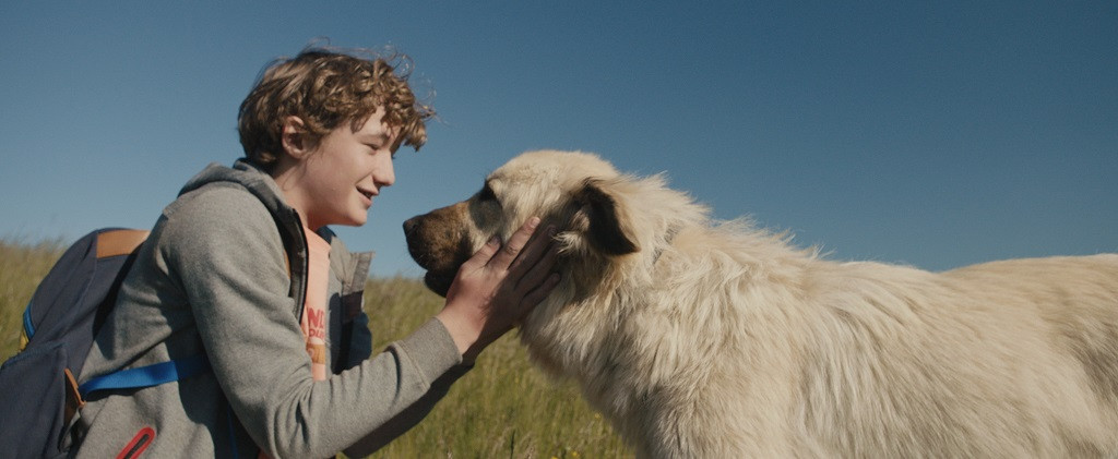 Srpsko-makedonski film „Stela“ od danas u bioskopima: Dirljiva priča o ...