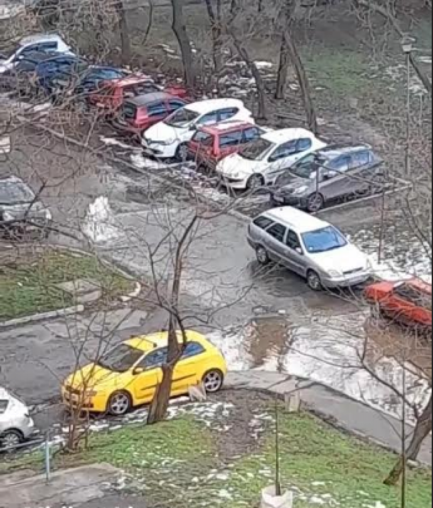 Fekalije na sve strane: Izlila se kanalizacija u Mirijevu