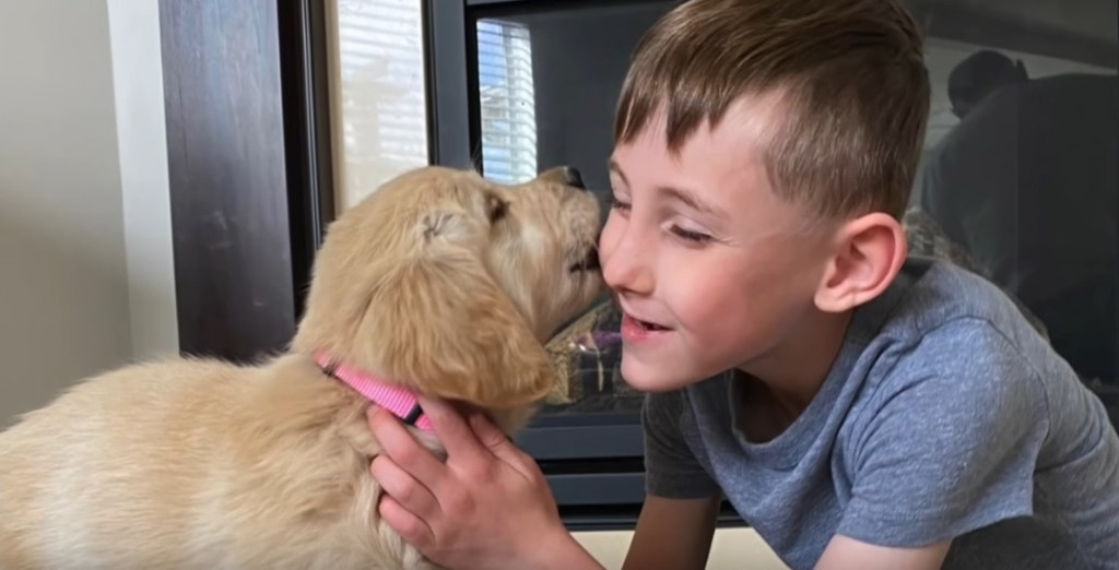 Život je čudo! Dečaku sa protetskom nogom najbolji prijatelj je pas sa ...