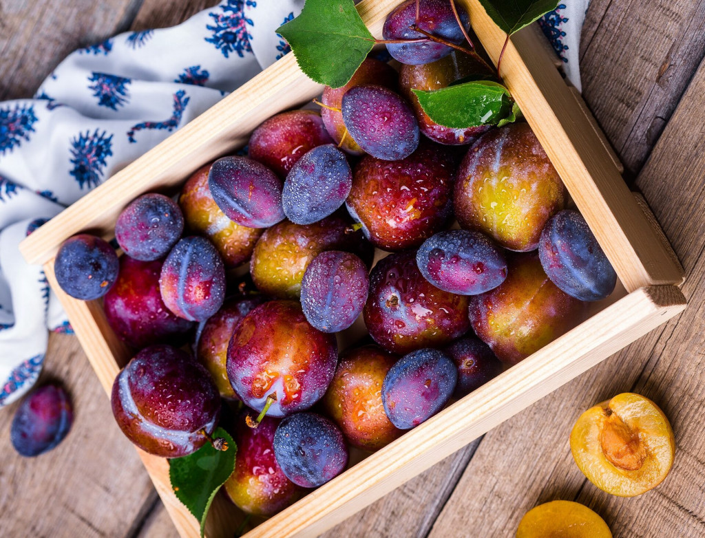 I ove godine samo „bljak“: Velika je zabluda da je Srbija "zemlja šljive"