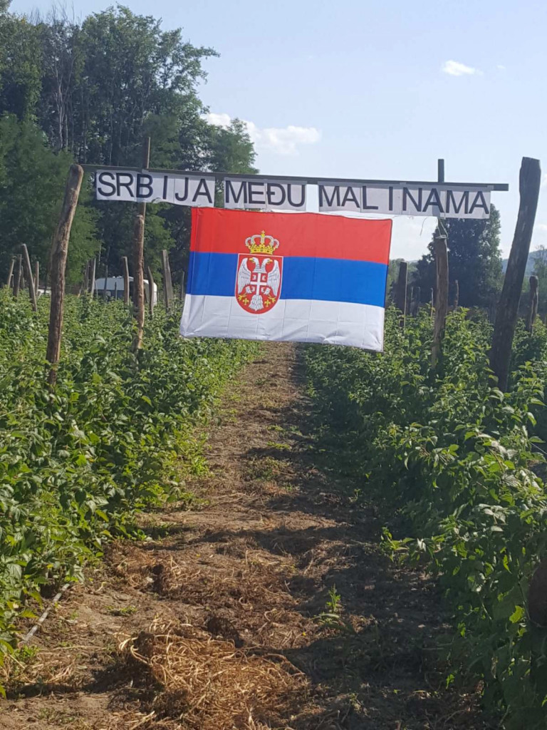 Malinjak nikad nije izgledao lepše: Srpska trobojka sa ponosom ...