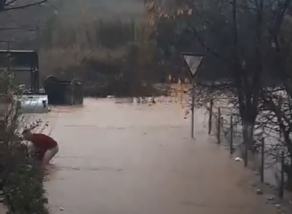 Snimak koji vraća veru u čoveka: Psa nosila bujica u poplavljenom ...
