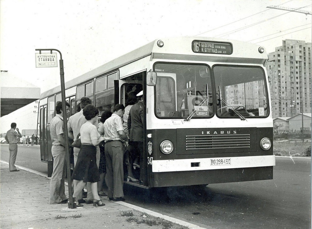 "Leteći" autobus kojeg su uspeli da zaustave samo zemlja i kupus! Dan ...