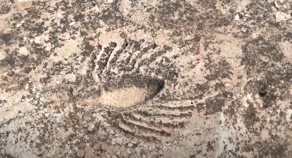Misteriozni simboli pronađeni usred pustinje: Urezani su u kamenu, a ...