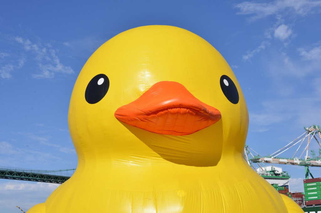 Pre 30 godina, 28.000 gumenih patkica izgubilo se na moru: Danas ...