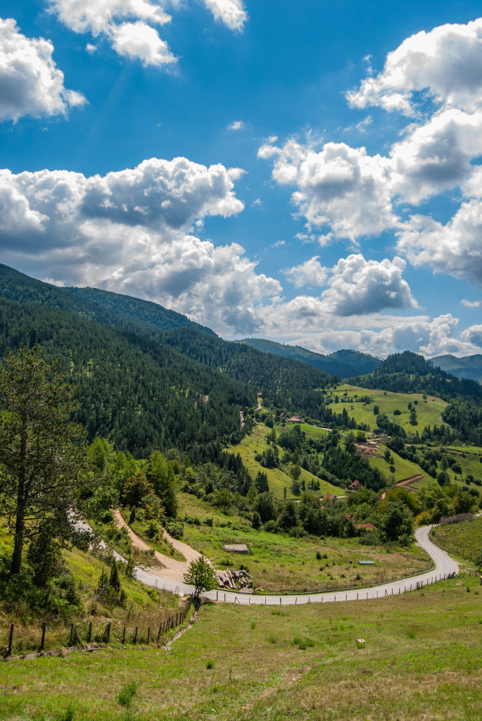 Netaknuta priroda: Tara, idealno mesto za odmor
