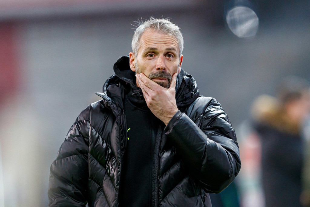 Marko Roze, Zvezda, Liga šampiona