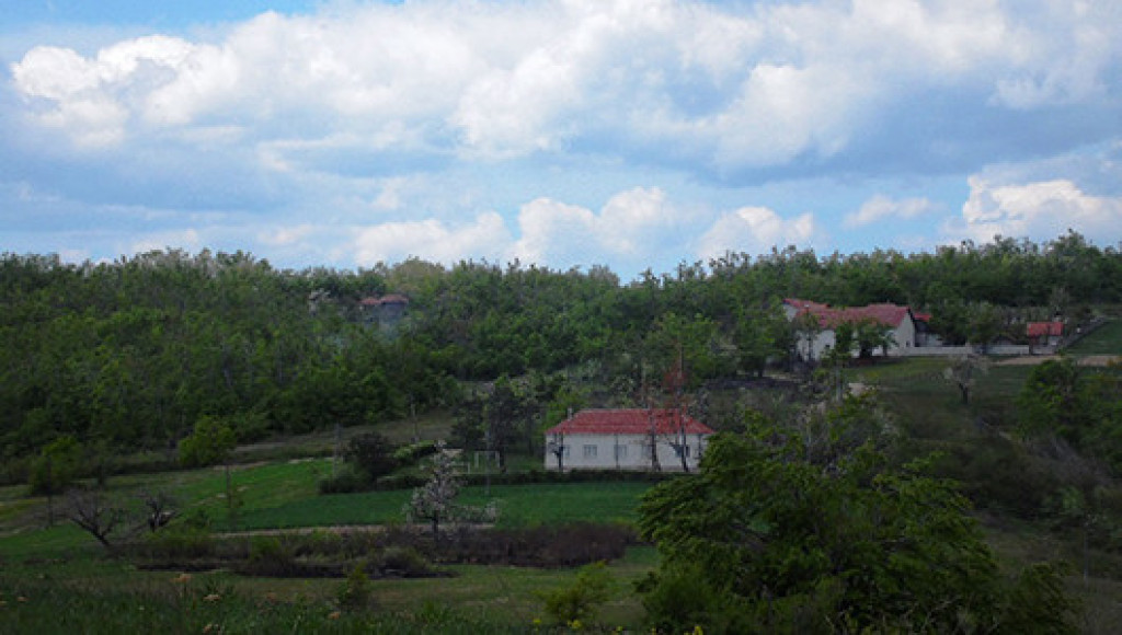24SEDAM NEGOTIN Upoznajte Plavnu