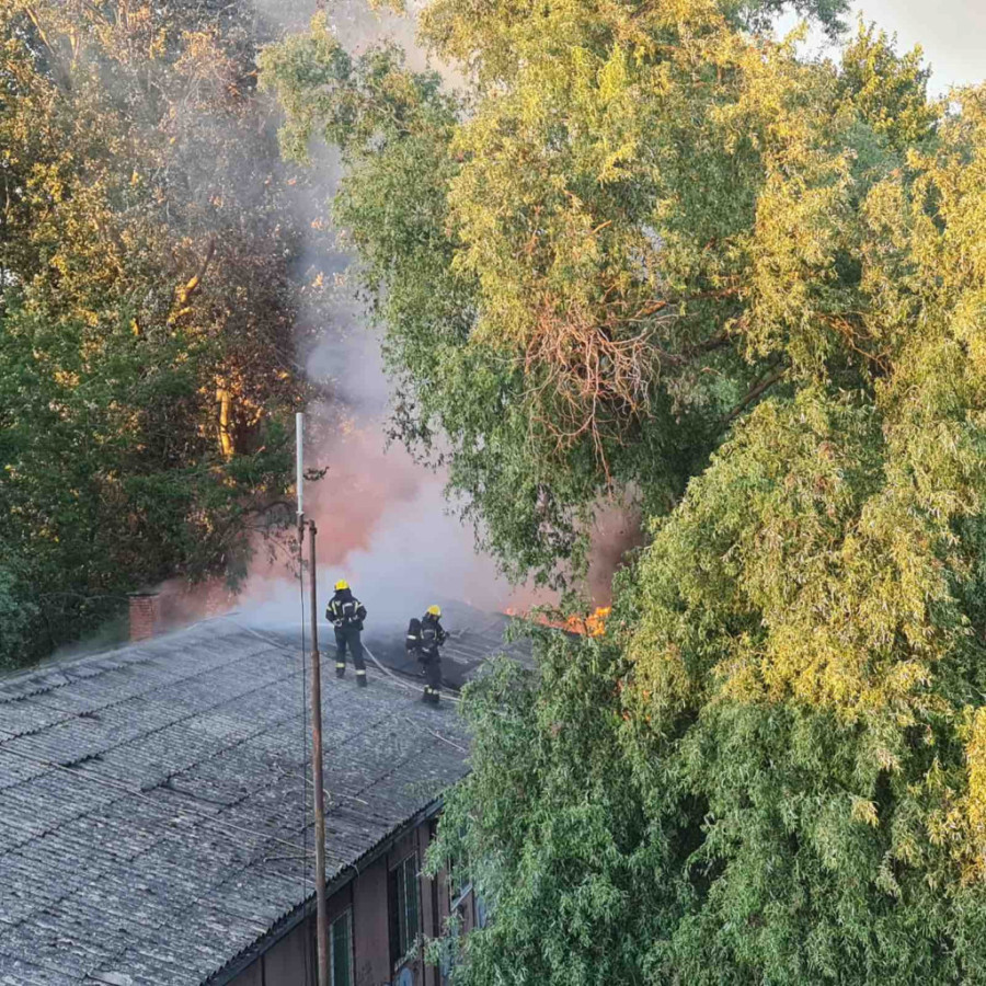 Veliki požar u Novom Sadu: Gore barake u blizini Štranda (FOTO/VIDEO)
