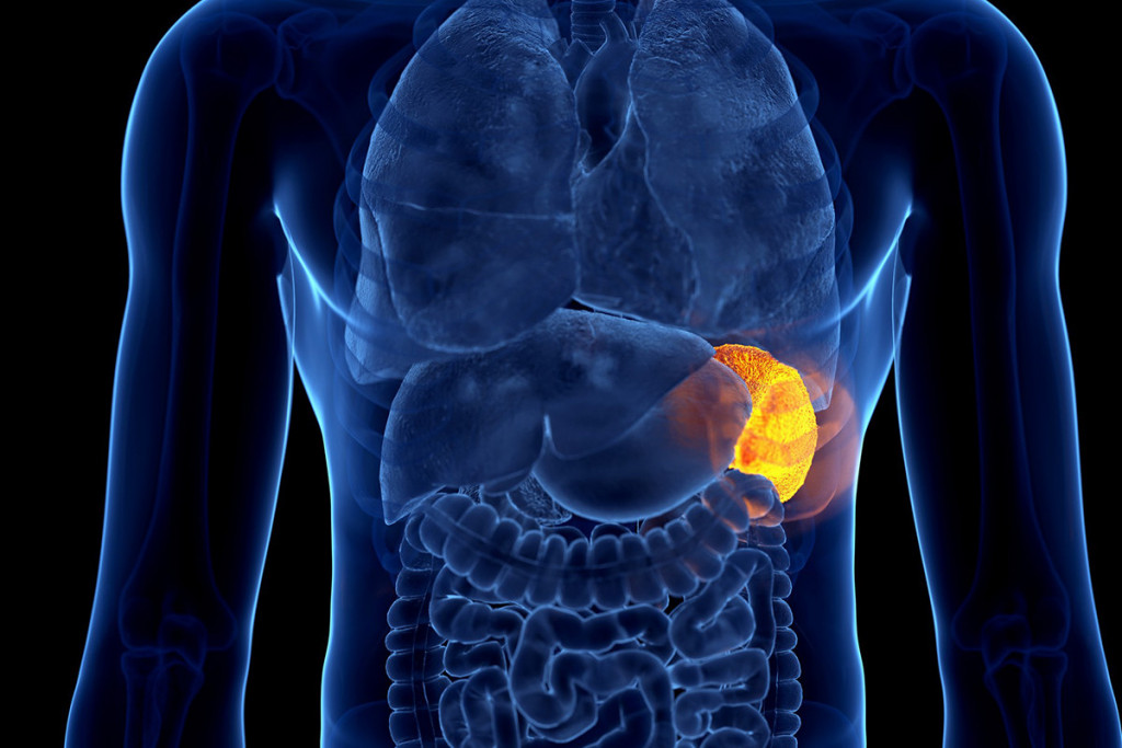 Uvećana slezina se sve češće slučajno otkriva: Ovo su prvi simptomi ...