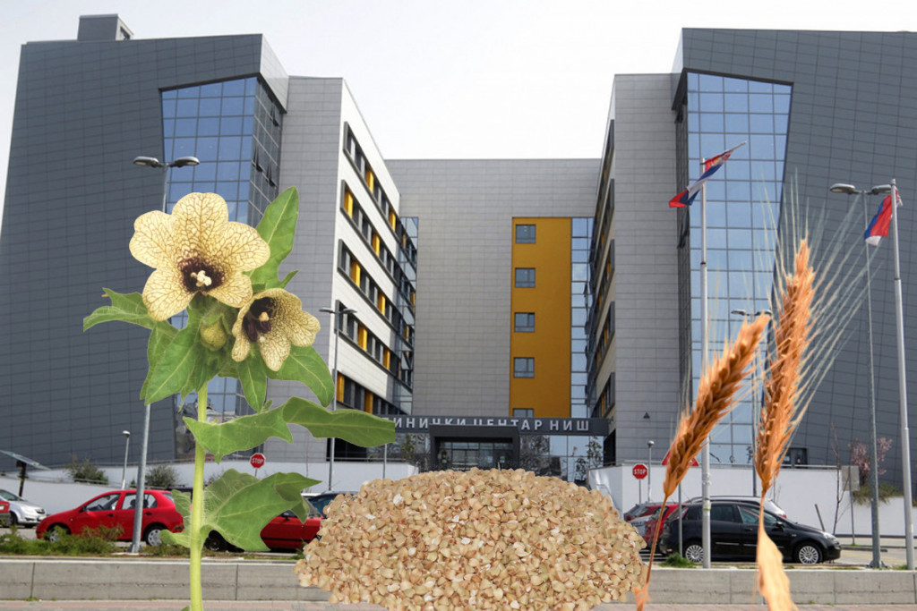 Novo trovanje heljdinim brašnom: Bunika nađena u robi različitih ...