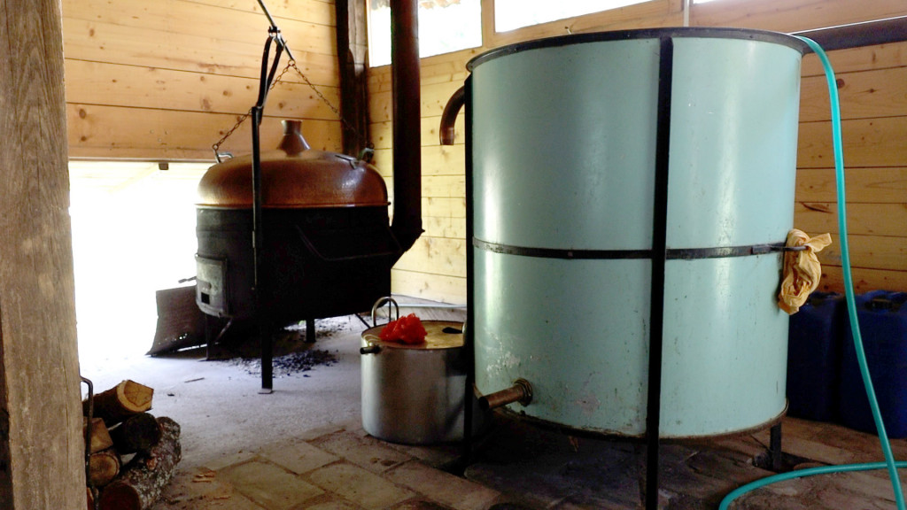 Rakija iz Rakije: Bili smo u srcu Šumadije u potrazi za pravom srpskom ...