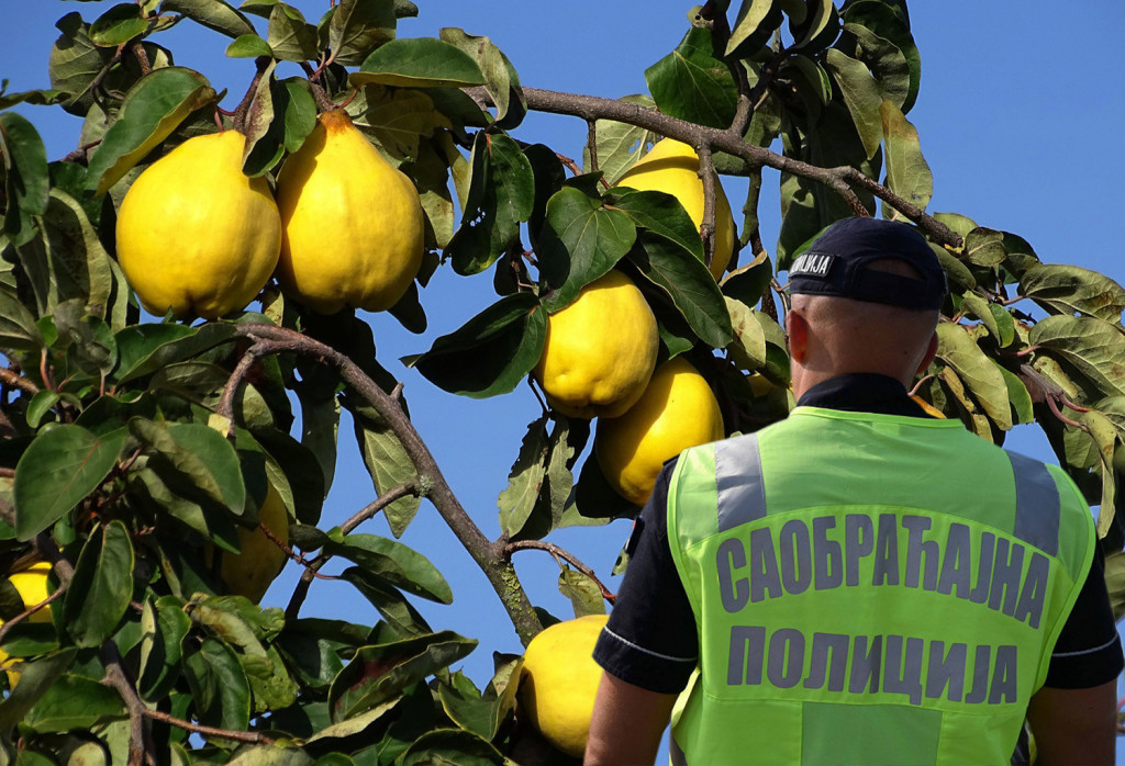 Policajac krao dunje na Zavojskom jezeru: U kući mu pronašli 400 kilograma!