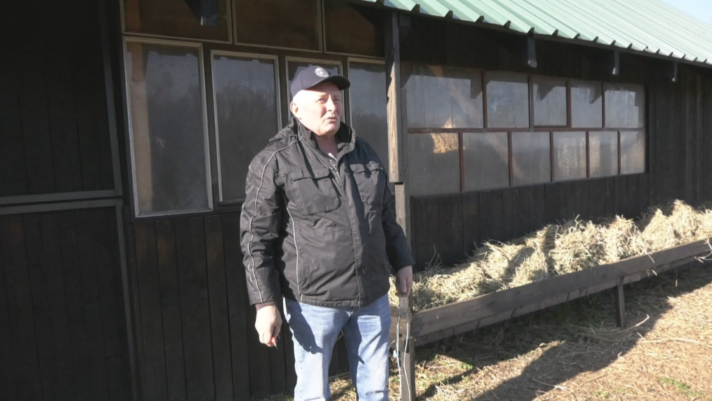 Dušan iz sela Brzan gaji jelene, srne..