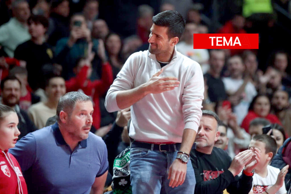 Nole, Grobari, Delije