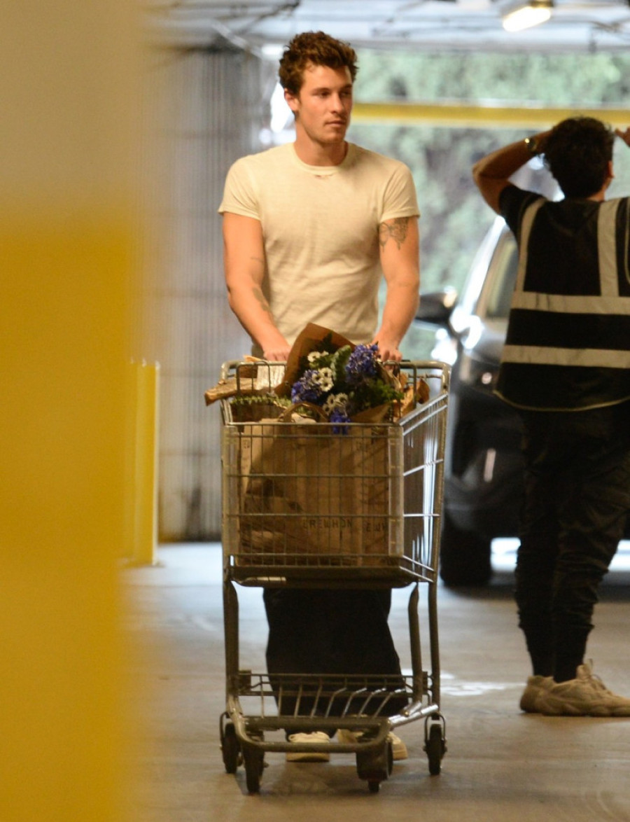 Paparaco fotografije Kamile Kabeljo i Šona Mendeza