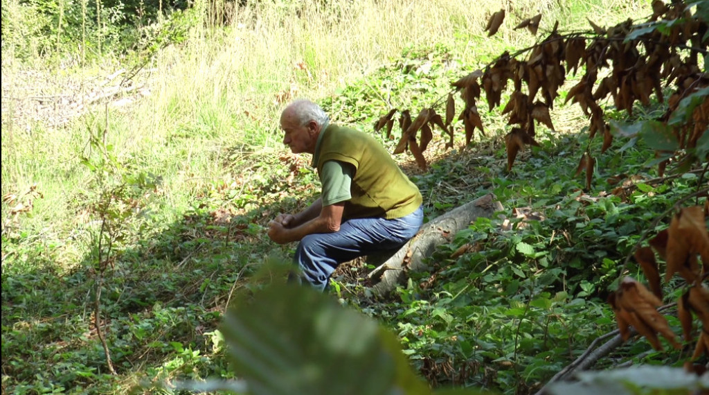Priča drvoseča Srbije o teškom poslu i seči drva