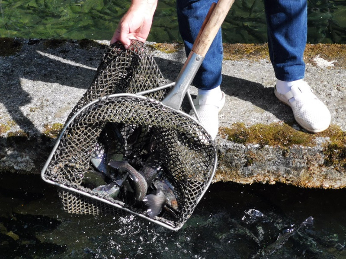 Potpeć je najpopularnije srpsko selo tokom posta