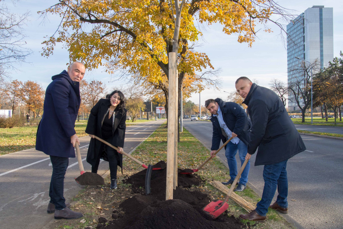 Zeleni NBGD akcija kojom želimo da osvežimo pluća grada