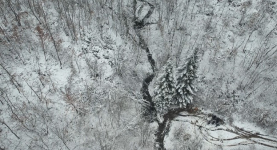 Stope Svetog Save u dragačevskoj šumi