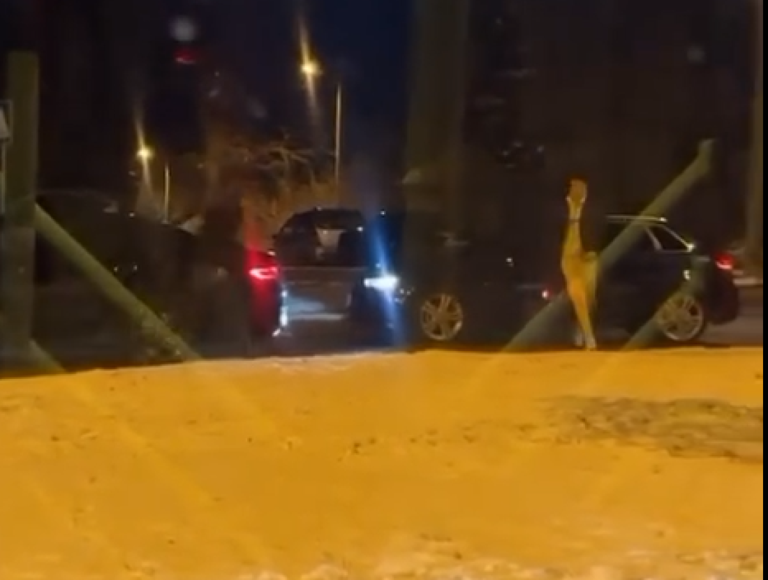 Tuča dva vozača na Zvezdari