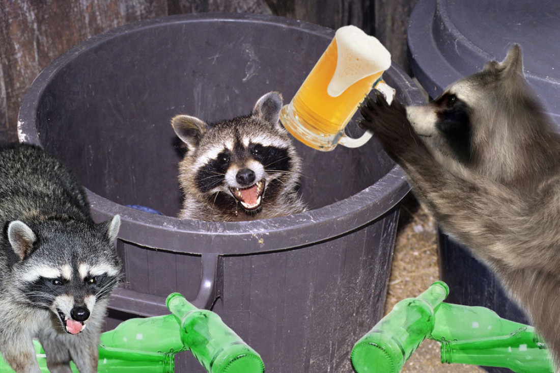 Rakuni u Nemačkoj i nacisti