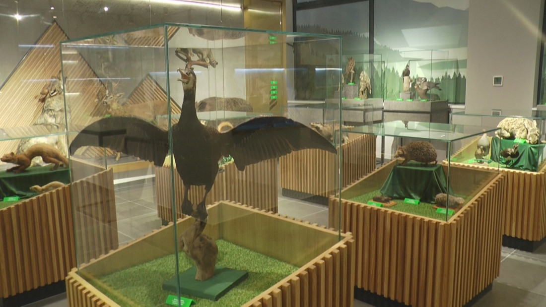 Prirodnjački muzej u srcu Ovčarsko-kablarske klisure