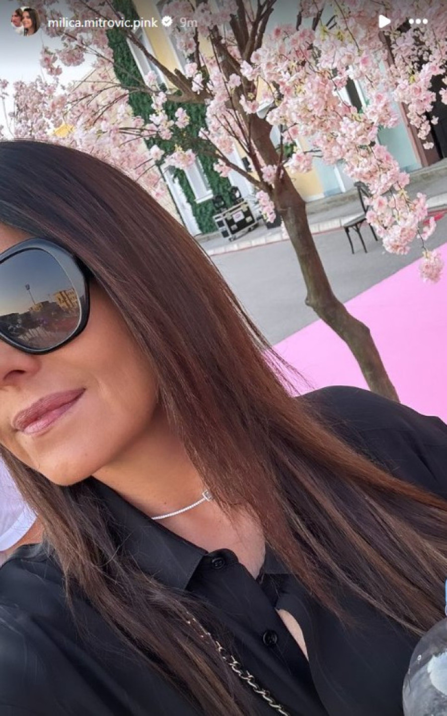 Milica Mitrović pokazala ukrašeno imanje u Šimanovcima