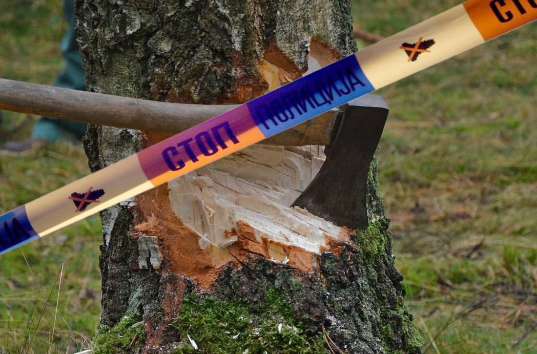 Muškarac u Novom Pazaru napadnut sekirom