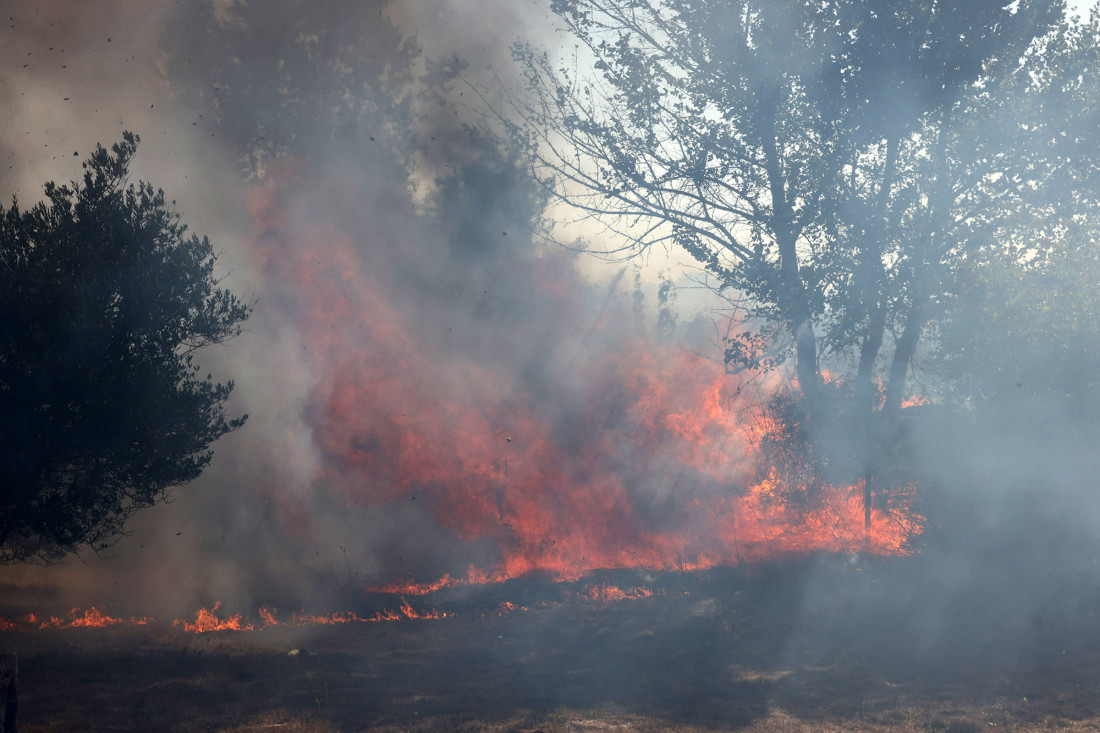 Požar na Vidliču na Staroj planini i dalje traje