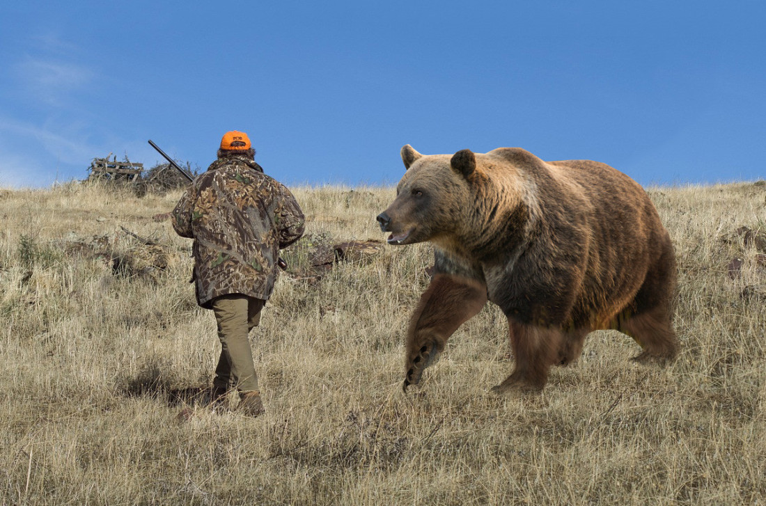 Medved u Crnoj Gori napao lovca