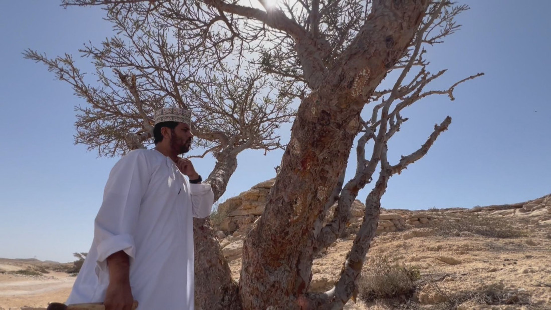 Evo kako nastaje tamjan