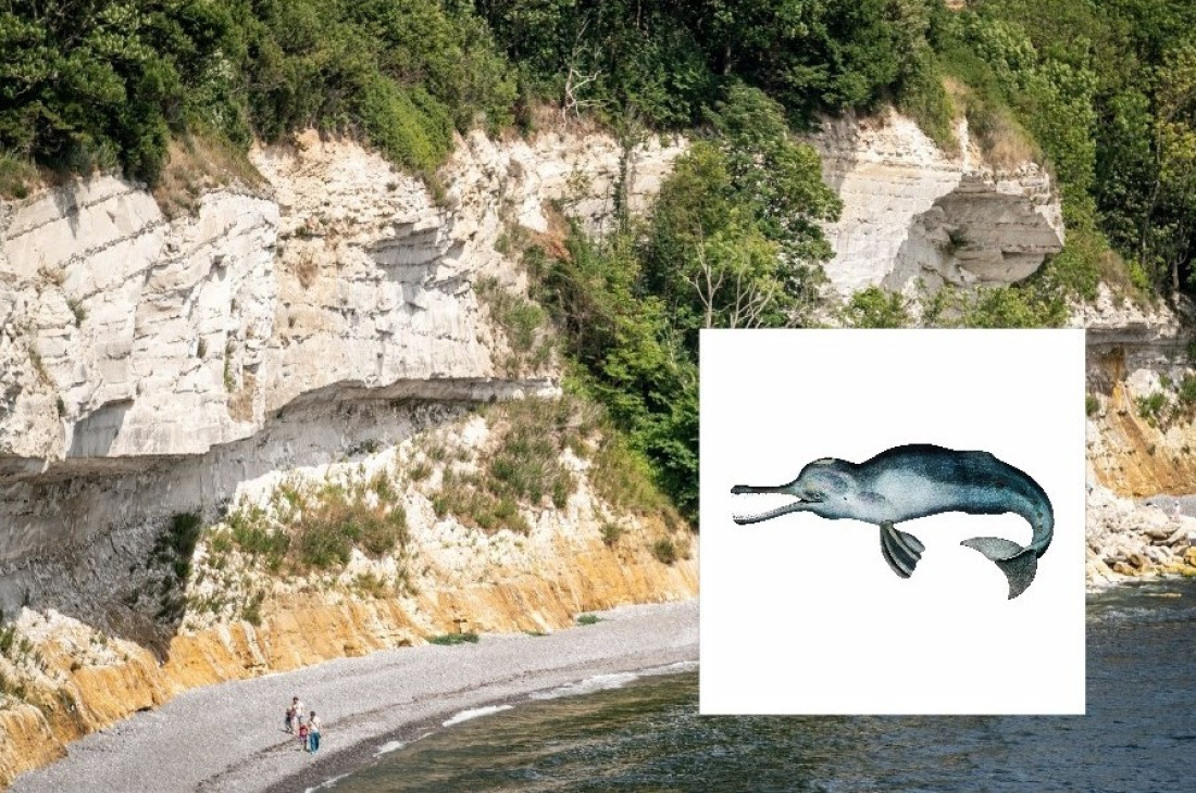 Praistorijska povraćka u Danskoj