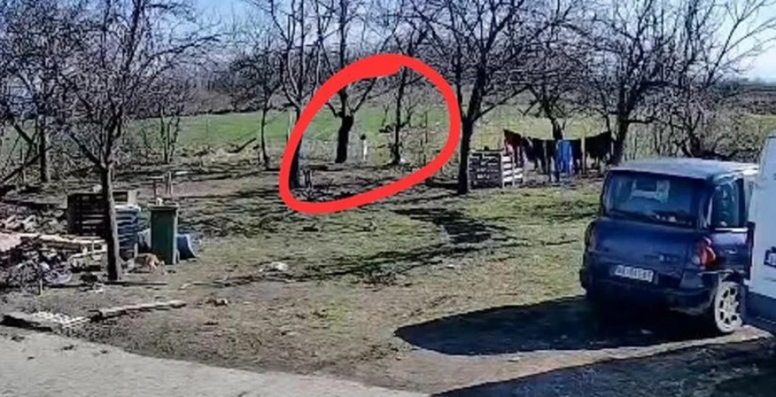 Evo šta je mala Dunja radila pre nestanka