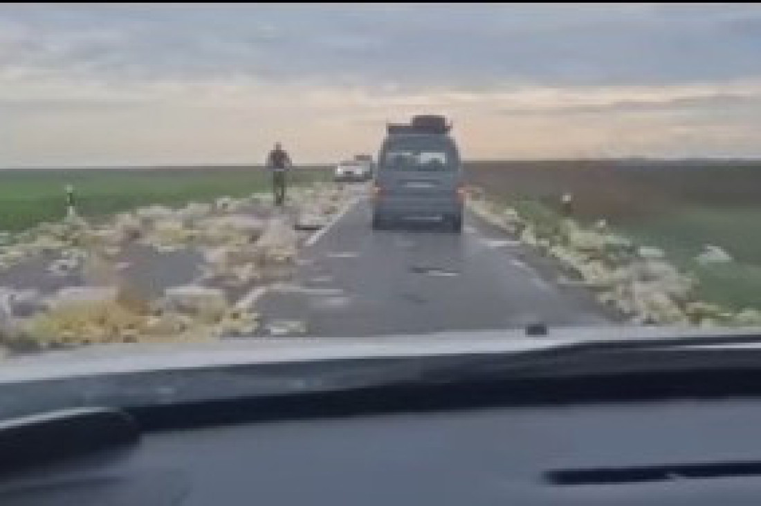 Rasute flaše sa uljem u Idvoru