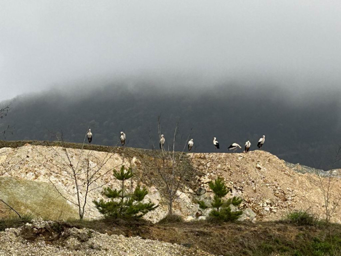 Panika u Boru! Rudnik pod opsadom, evo ko ih je okupirao