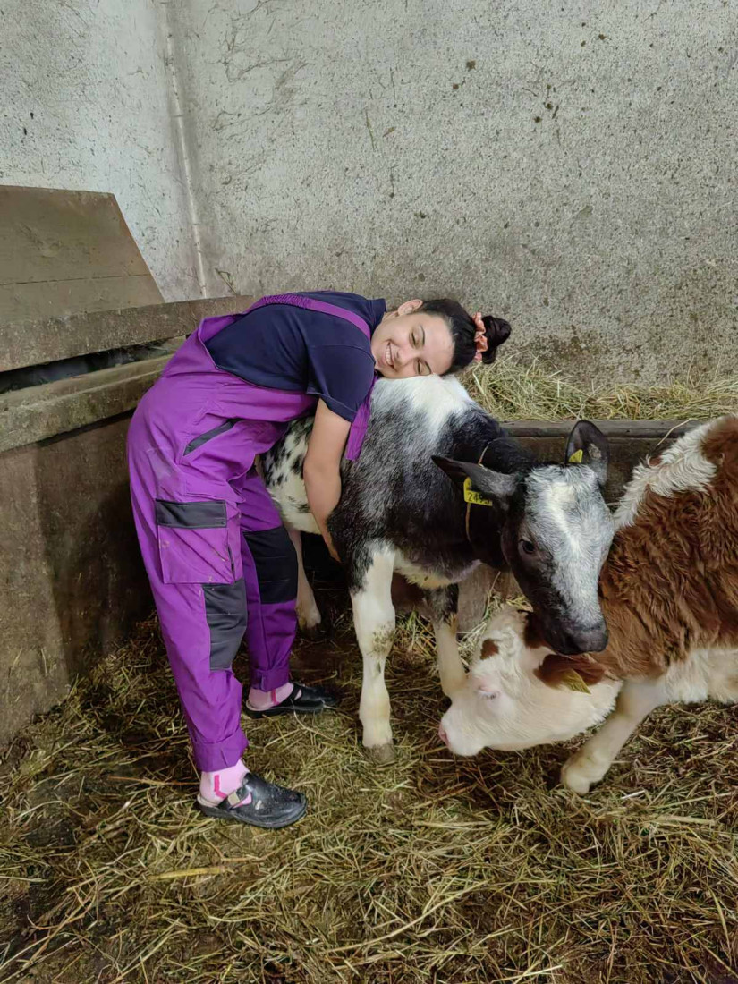 Anđelija Ilić, selo Rutevac - ljubav prema kravama